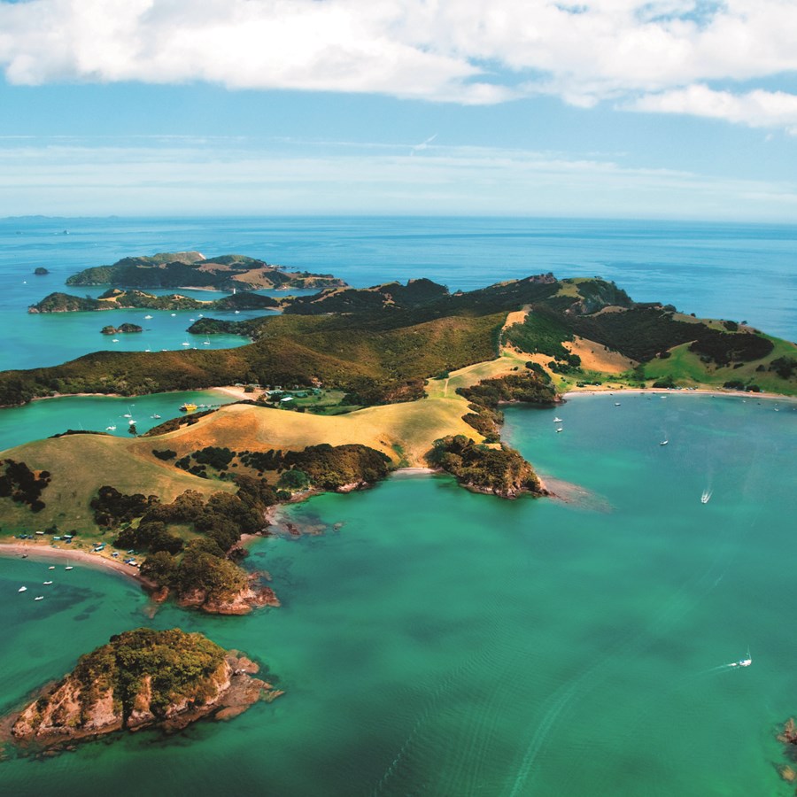 Maori History, Dolphins & Breath Taking Scenery in Paihia